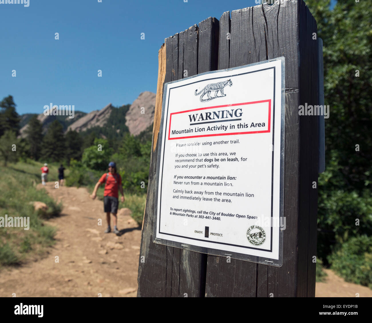 Mountain lion warning sign hi-res stock photography and images - Alamy