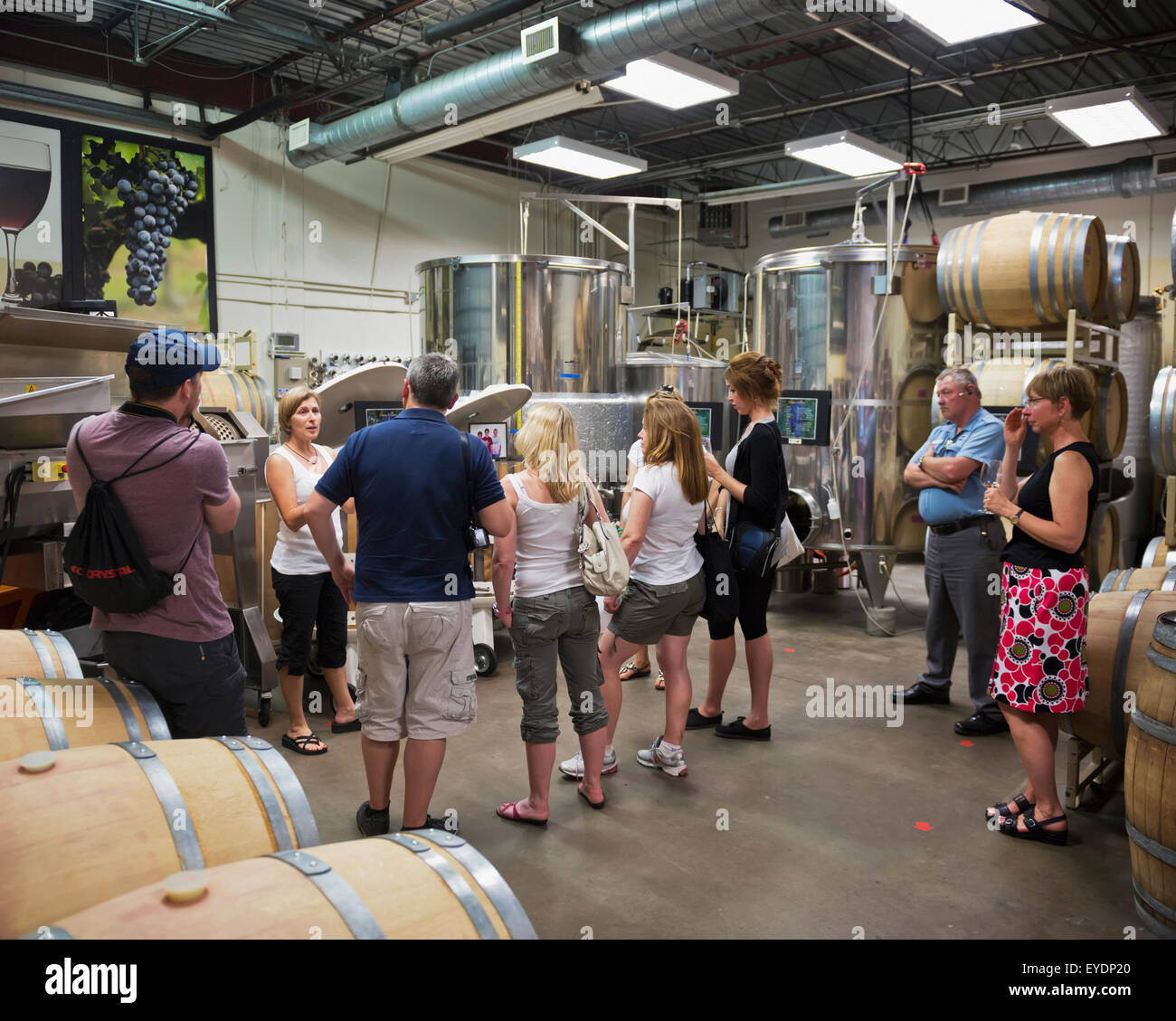 USA, Colorado, Wine tour and tasting at Boulder Creek Winery; Boulder ...