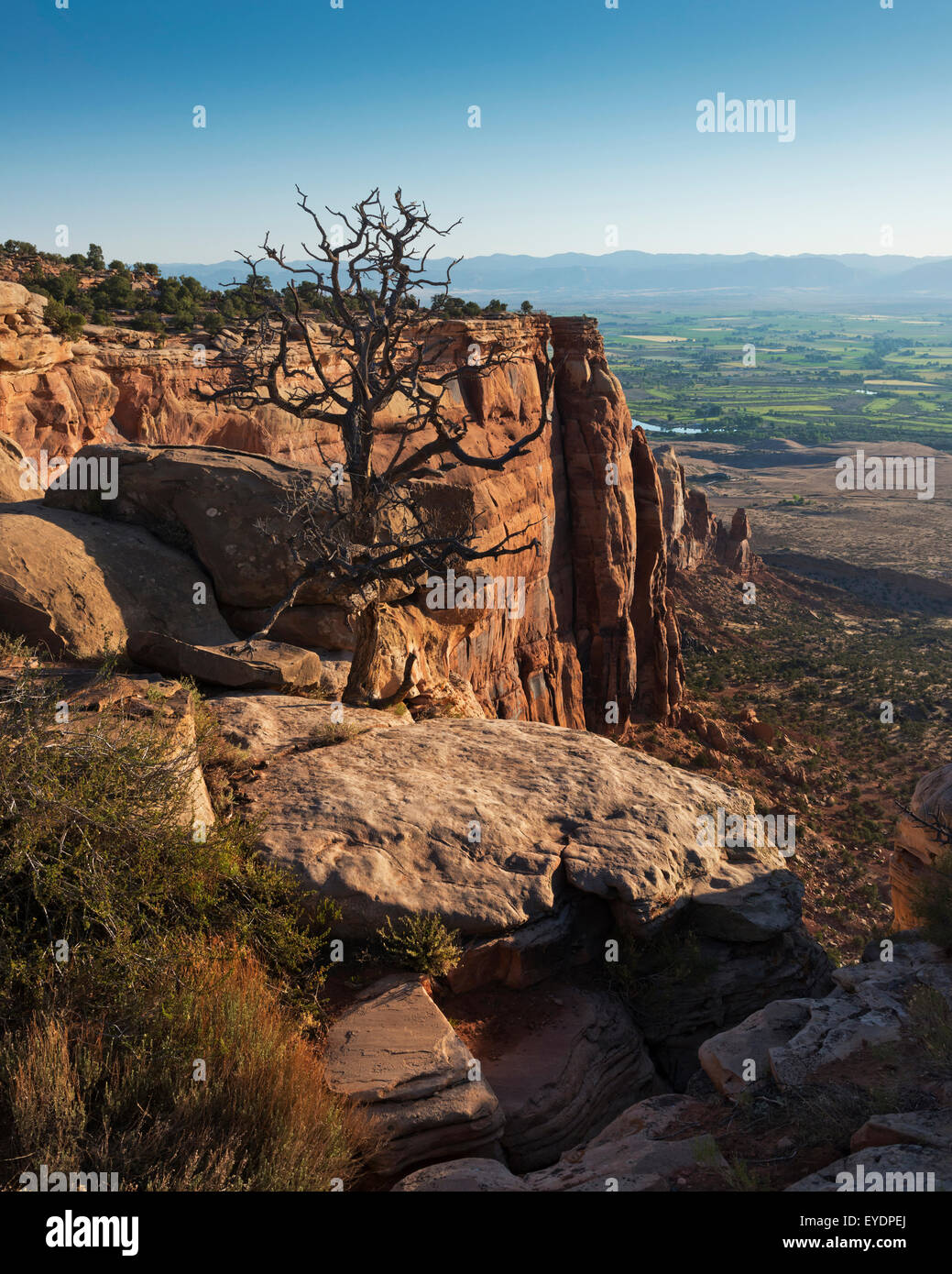 USA, Colorado, Magnificent views of sheer rock canyons and red ...