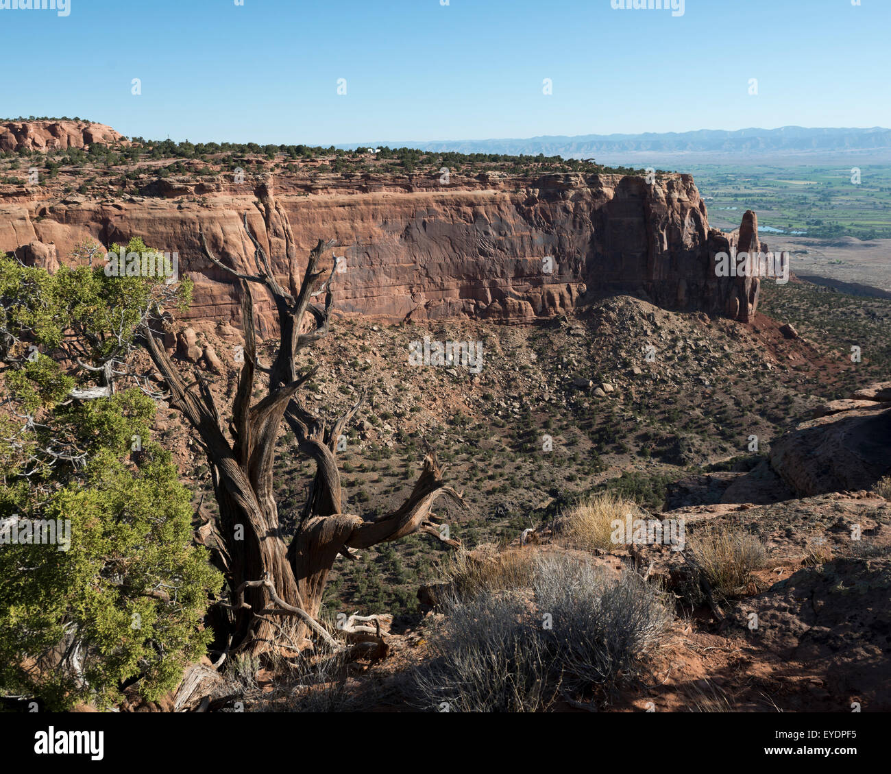 USA, Colorado, Magnificent views of sheer rock canyons and red ...