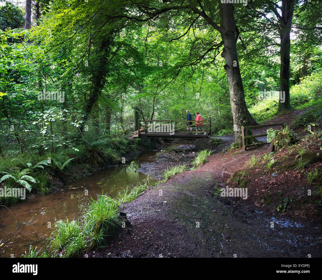 River roe ireland hi-res stock photography and images - Alamy