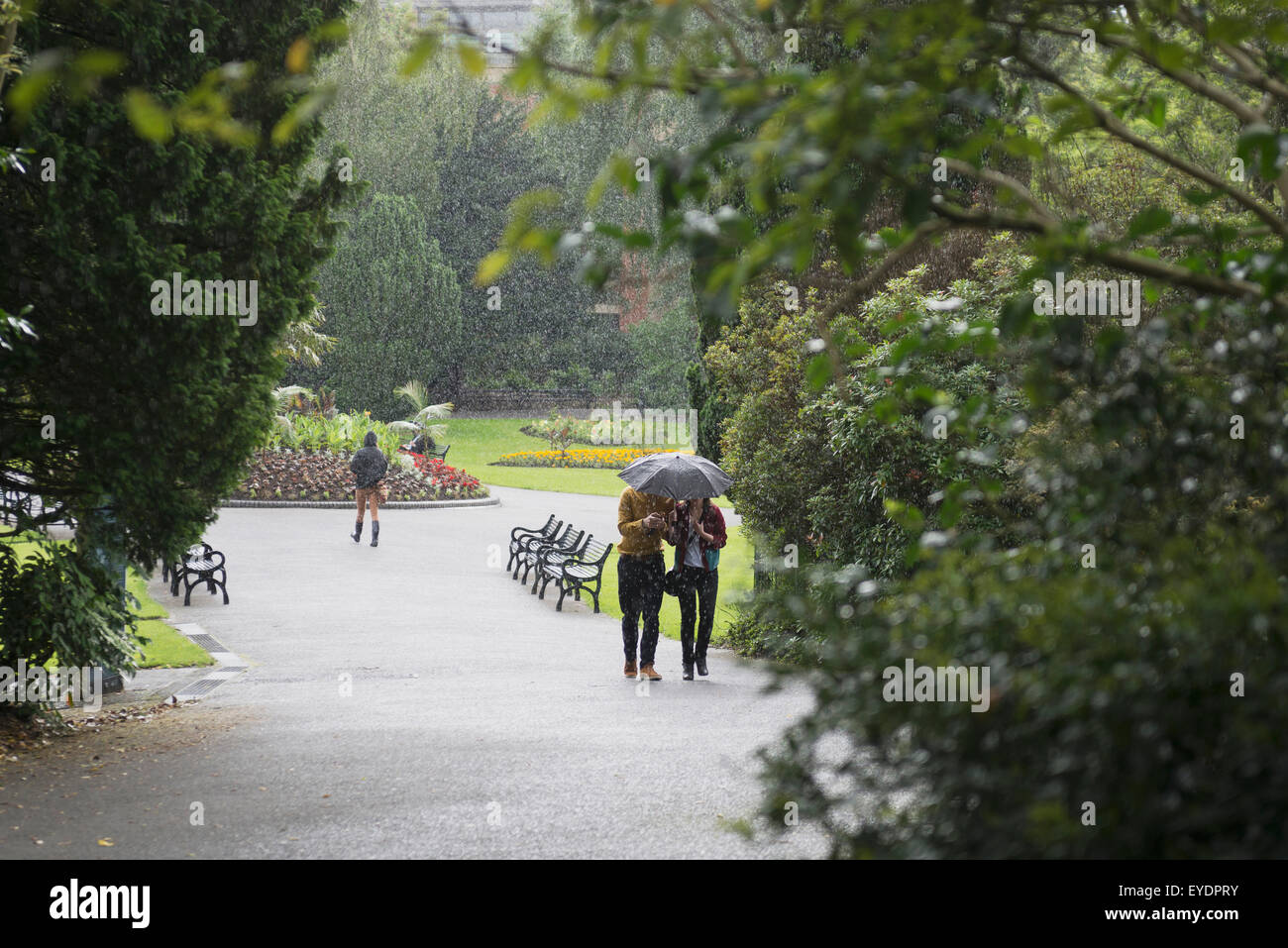 United Kingdom, Northern Ireland, Heavy rain at Botanic Gardens Park ...