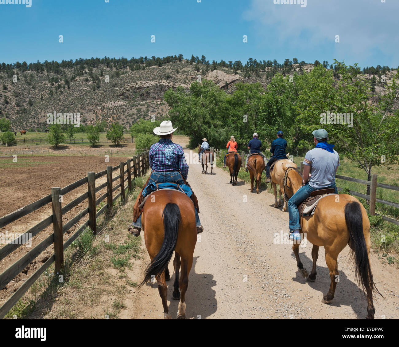 USA, Colorado, Big Thompson River Valley; Loveland, Horseback riding at ...