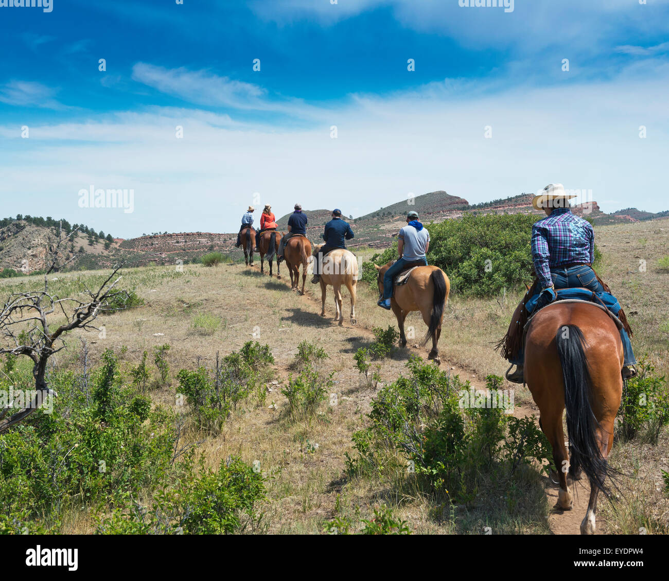 USA, Colorado, Big Thompson River Valley; Loveland, Horseback riding at ...
