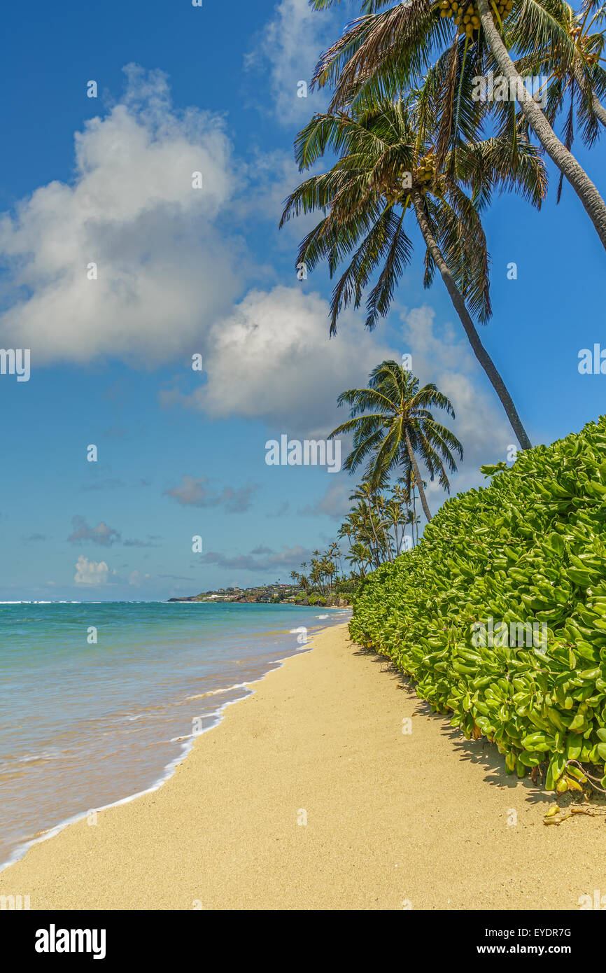 Oahu hawaii hi-res stock photography and images - Alamy