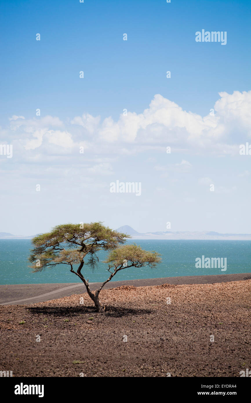 Barren scenery around Loyangalani on Lake Turkana; Kenya Stock Photo ...