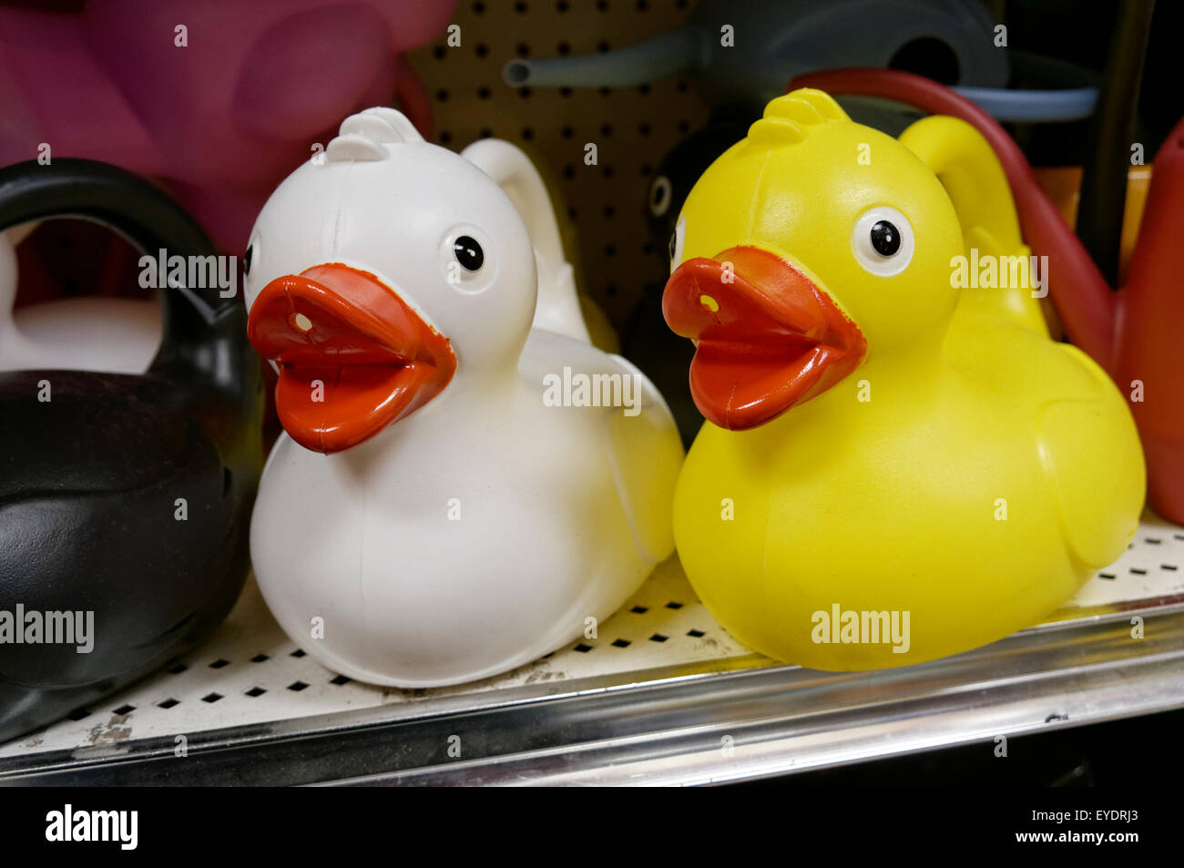 Plastic duck watering cans Stock Photo - Alamy