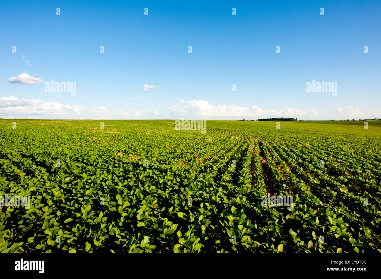 Rio santa barbara hi-res stock photography and images - Alamy