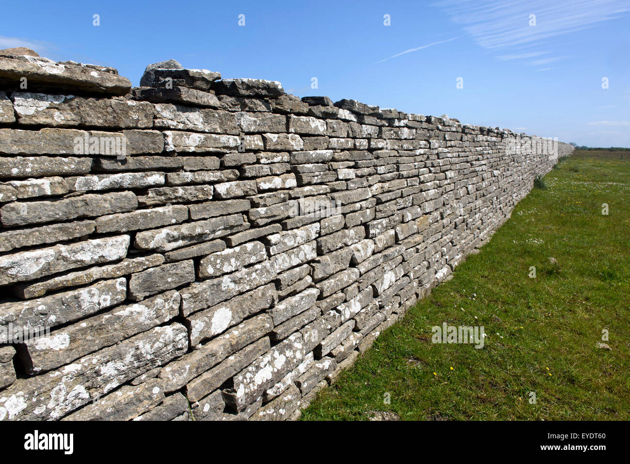 Stone wall KarlXgustavs Mur dfrom 1865, Isle if Öland, province Kalmar ...