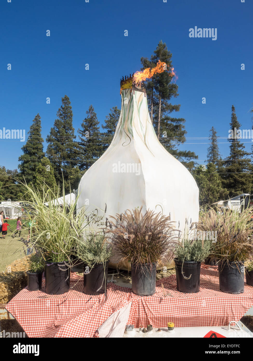 GILROY, CA/USA - July 24-26, 2015: 37th annual Gilroy Garlic Festival ...