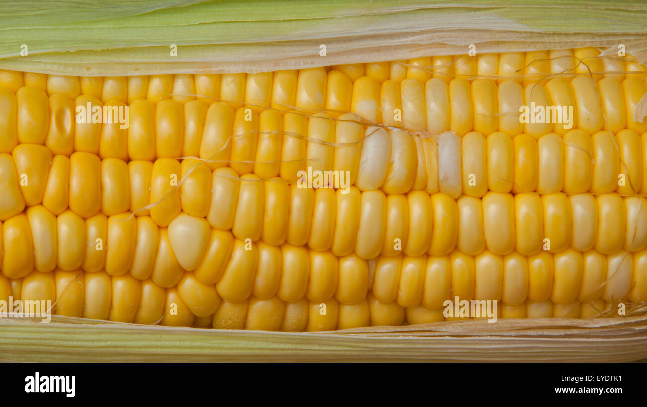 Closeup corn hi-res stock photography and images - Alamy