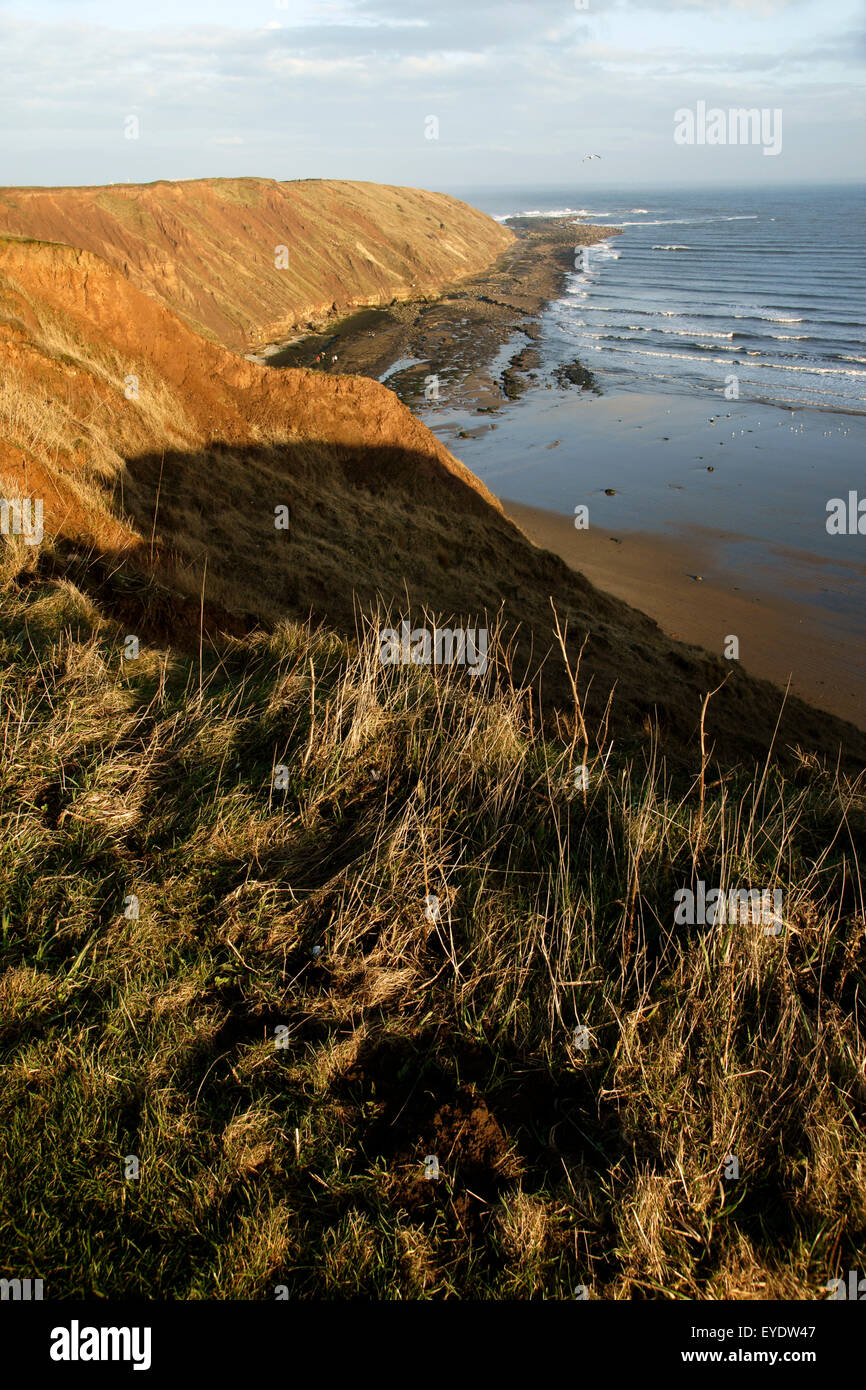 Distinctive feature hi-res stock photography and images - Alamy