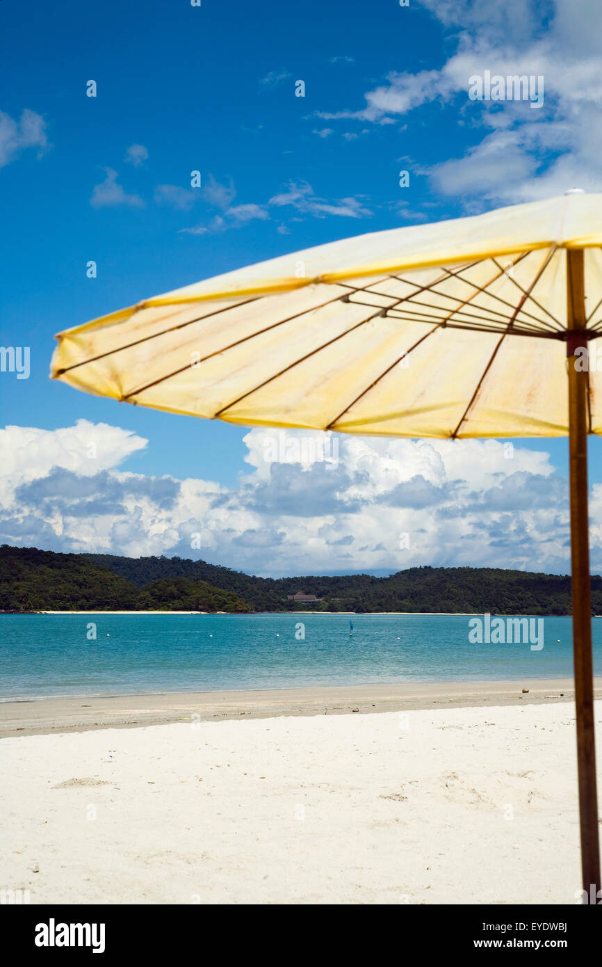 Photography vertical hi-res stock photography and images - Alamy