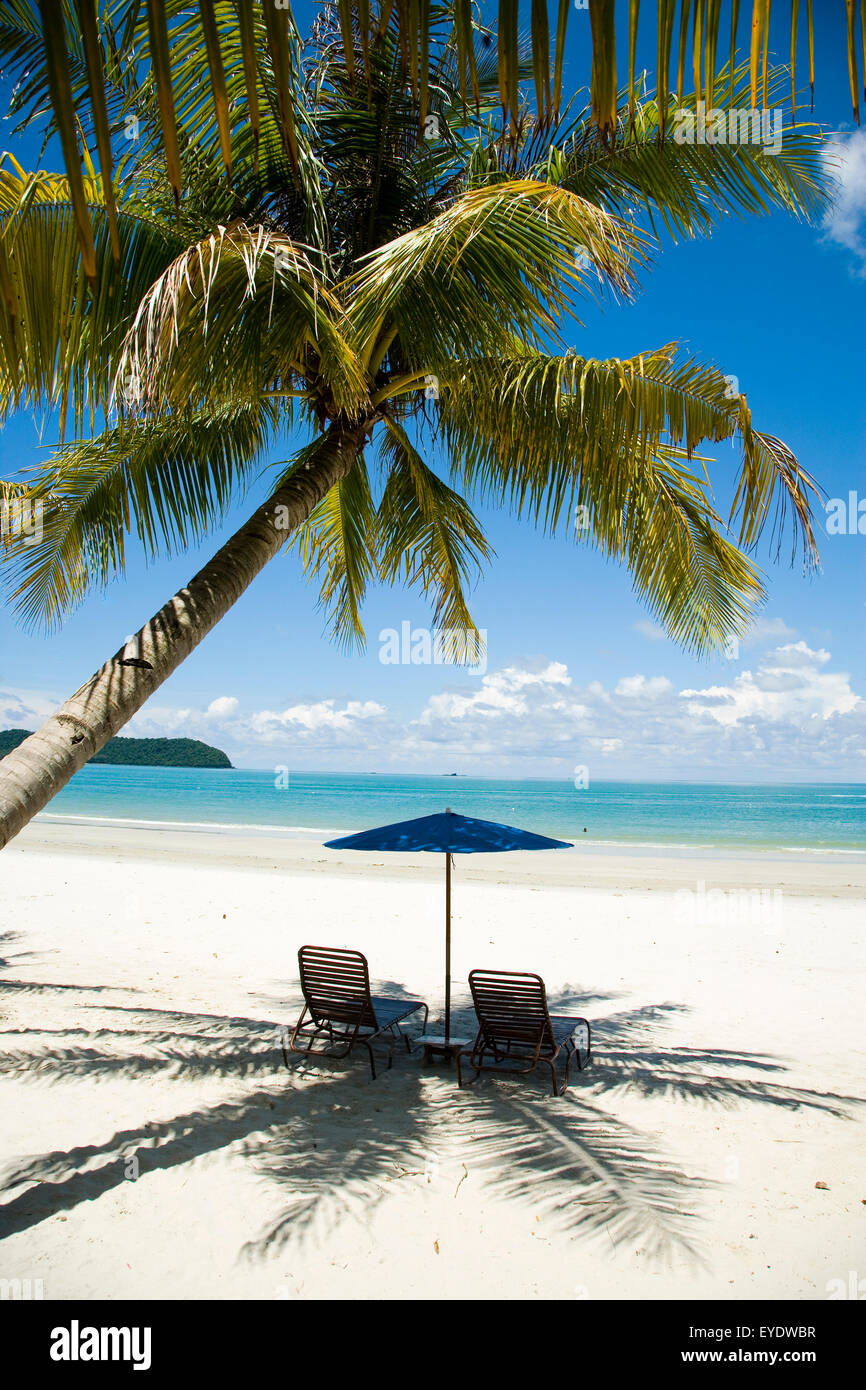 The color image hi-res stock photography and images - Alamy