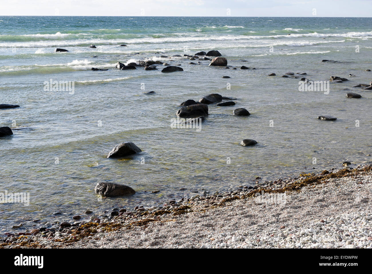 Pebble beach of gotland hi-res stock photography and images - Alamy