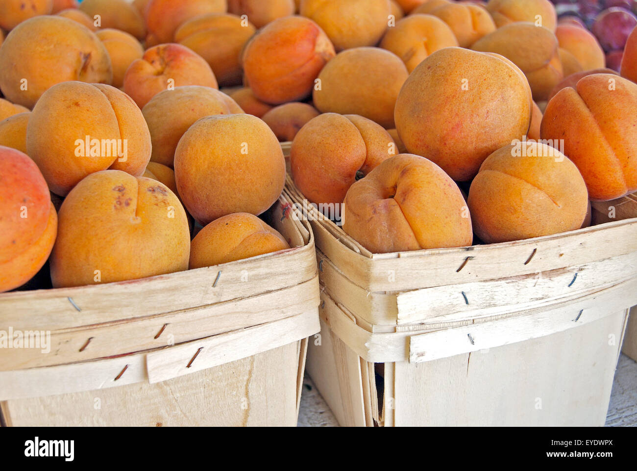 Ripe apricots in square wooden produce boxes Stock Photo - Alamy