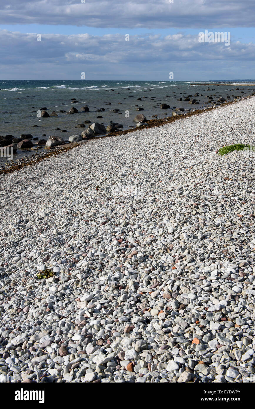 Pebble beach of gotland hi-res stock photography and images - Alamy