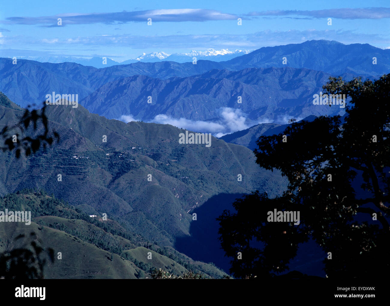 Mountain view from shimla himachal hi-res stock photography and images ...