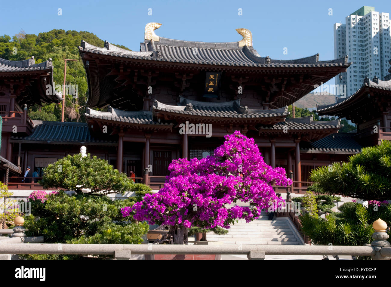 Oasis pics hi-res stock photography and images - Alamy