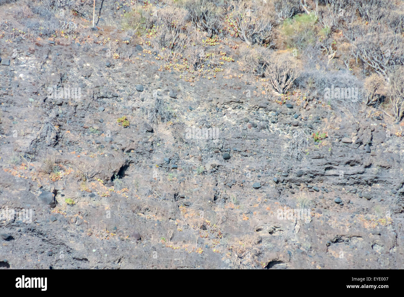 Dry Lava Basaltic Rock Stock Photo - Alamy