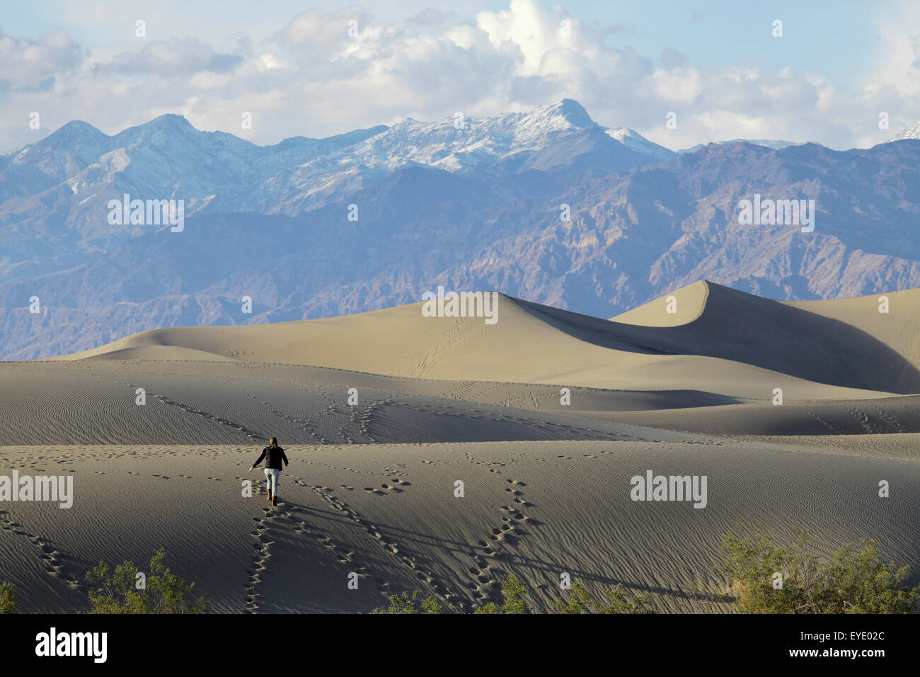 Timothy allen hi-res stock photography and images - Alamy