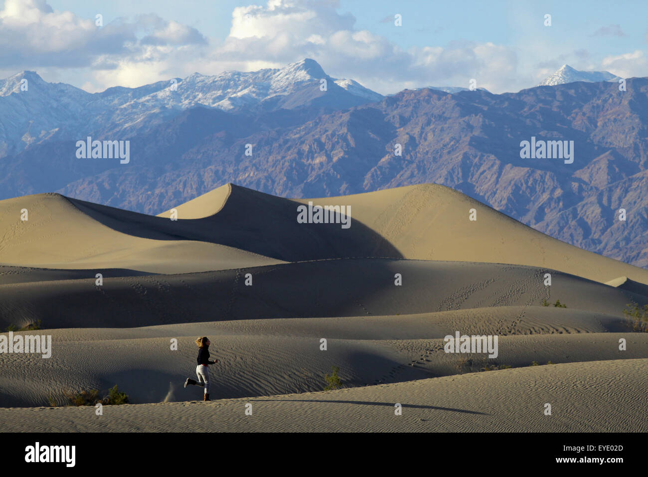 Timothy allen hi-res stock photography and images - Alamy