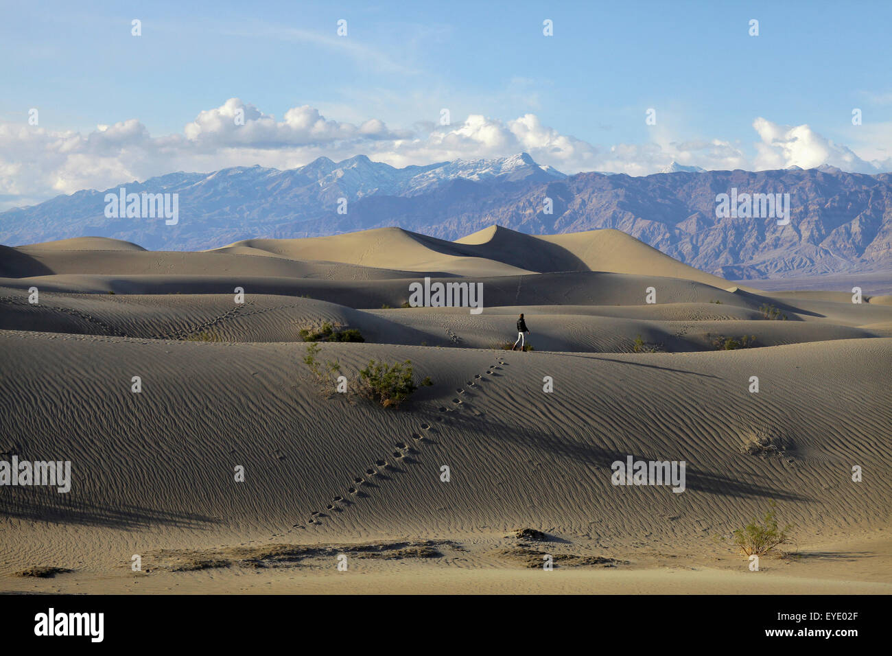 Timothy allen hi-res stock photography and images - Alamy