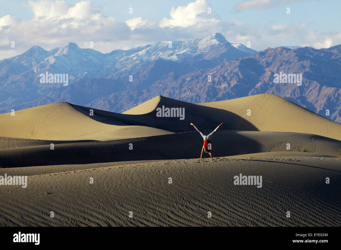 Timothy allen hi-res stock photography and images - Alamy