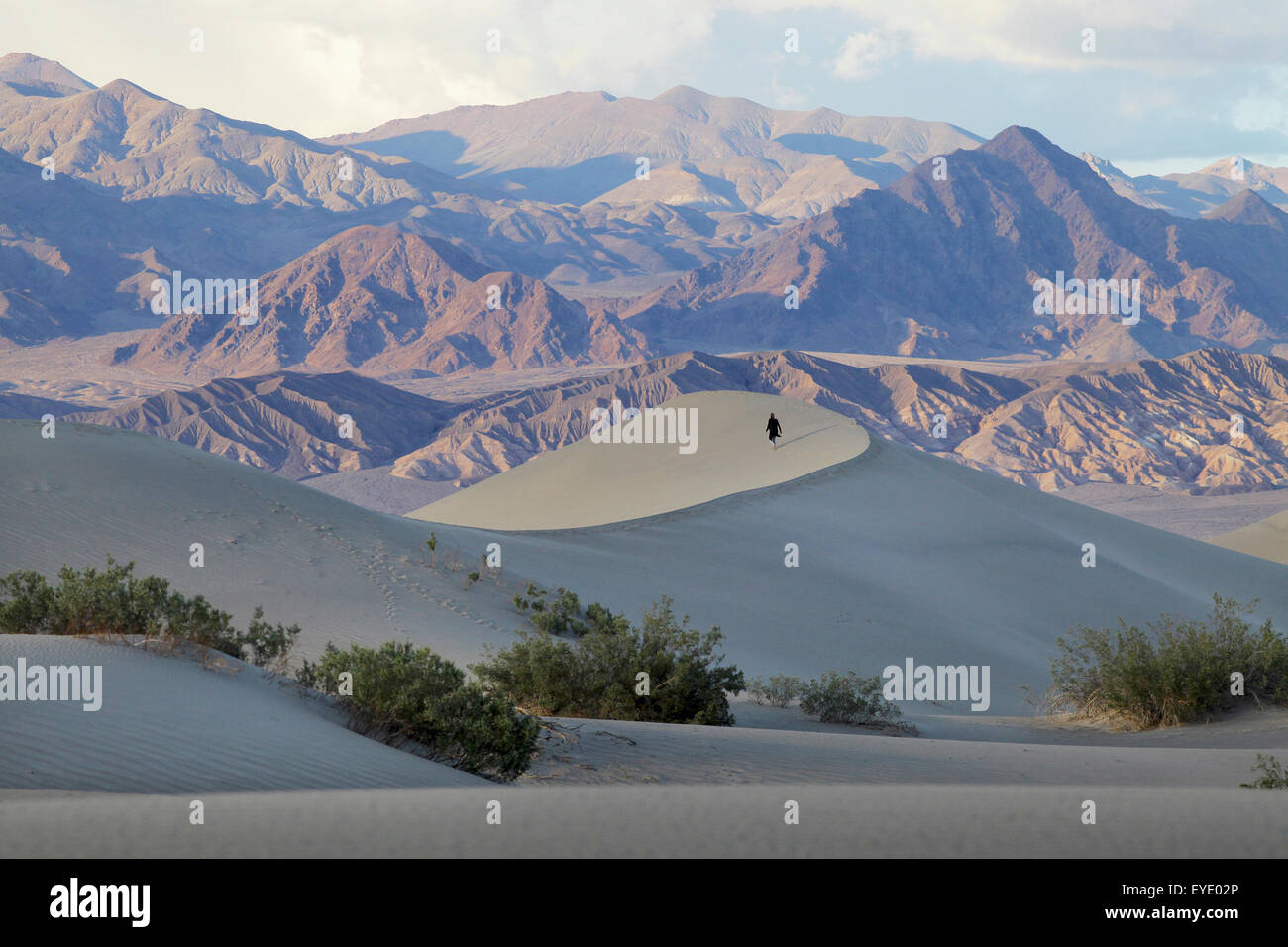 Timothy allen hi-res stock photography and images - Alamy