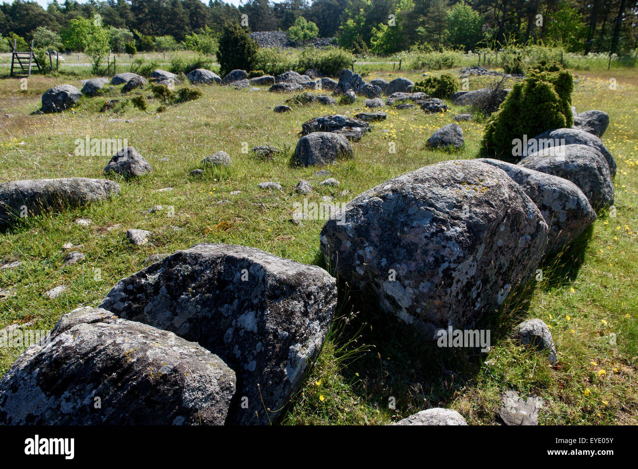 burial area Galrum near Alskog bronze age and irin age, Isle of Gotland ...