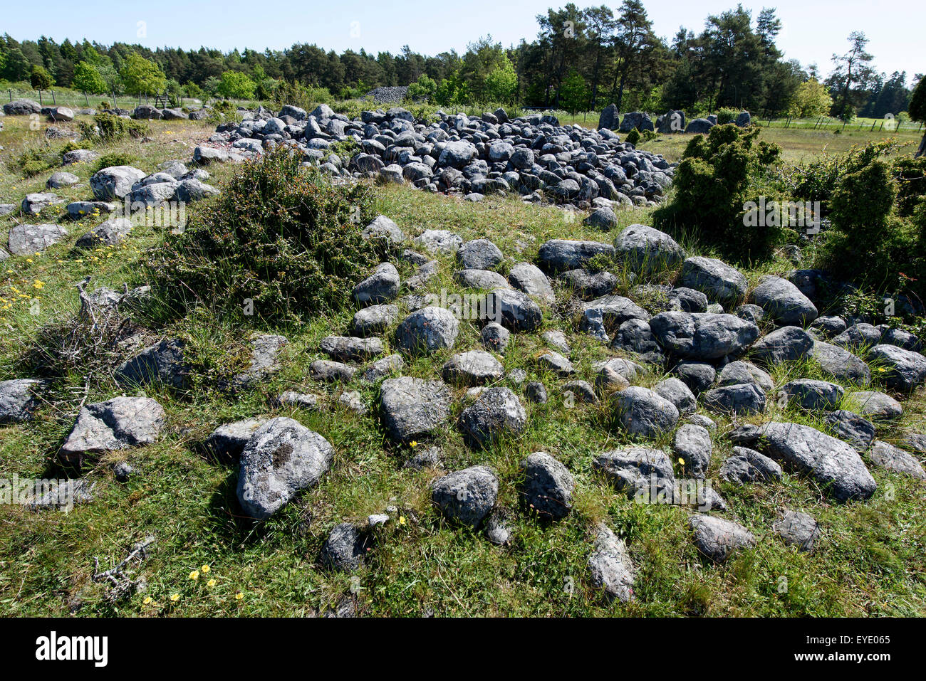 burial area Galrum near Alskog bronze age and irin age, Isle of Gotland ...