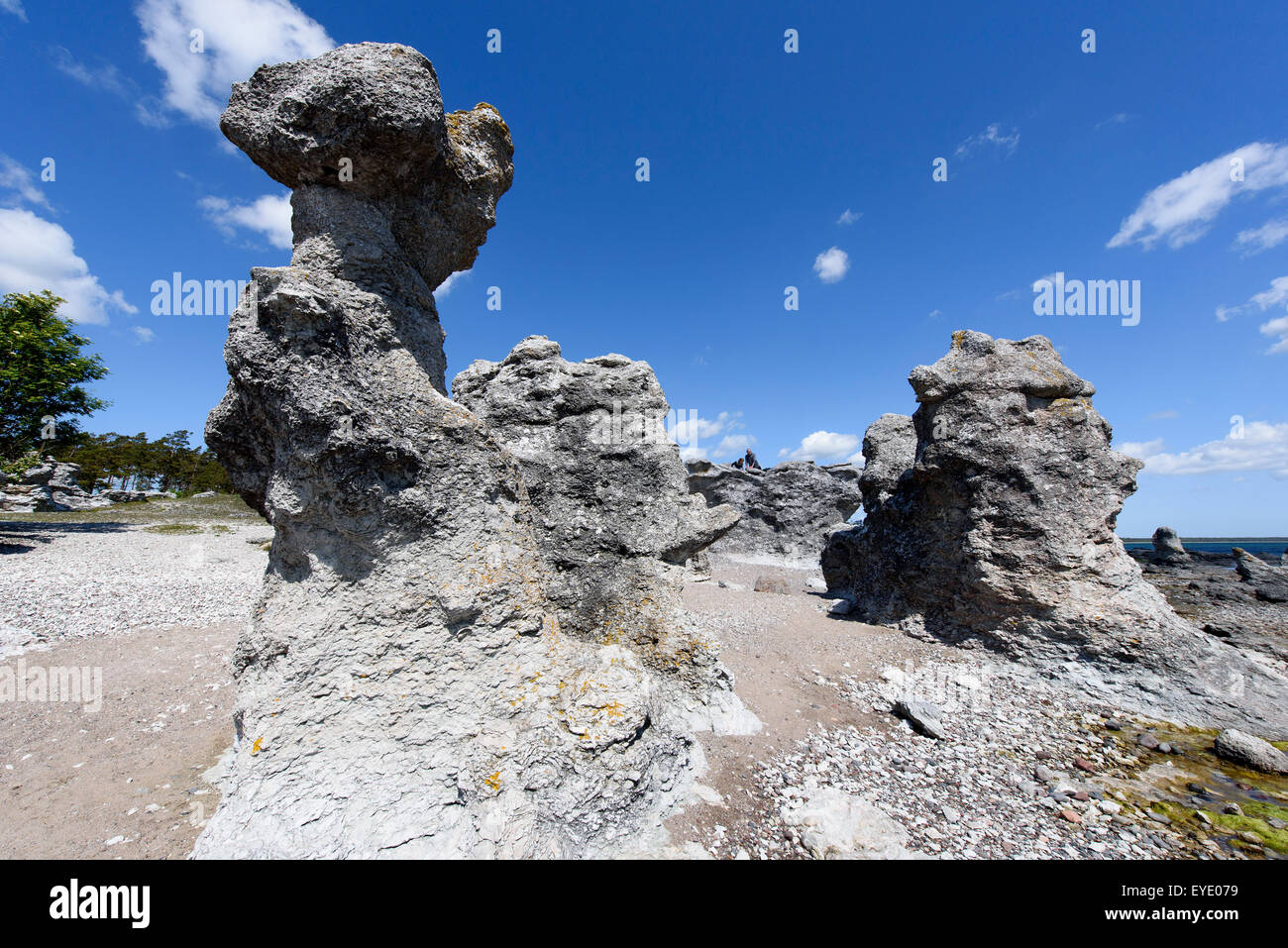 Raukar (Cliffs) near Ljugarn Folj´hammar, Isle of Gotland, Sweden Stock ...