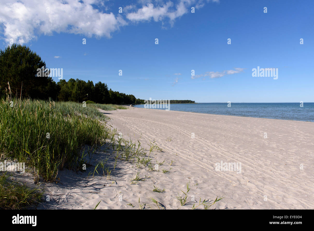 Beach of Amine, Isle of Gotland Sweden Stock Photo - Alamy