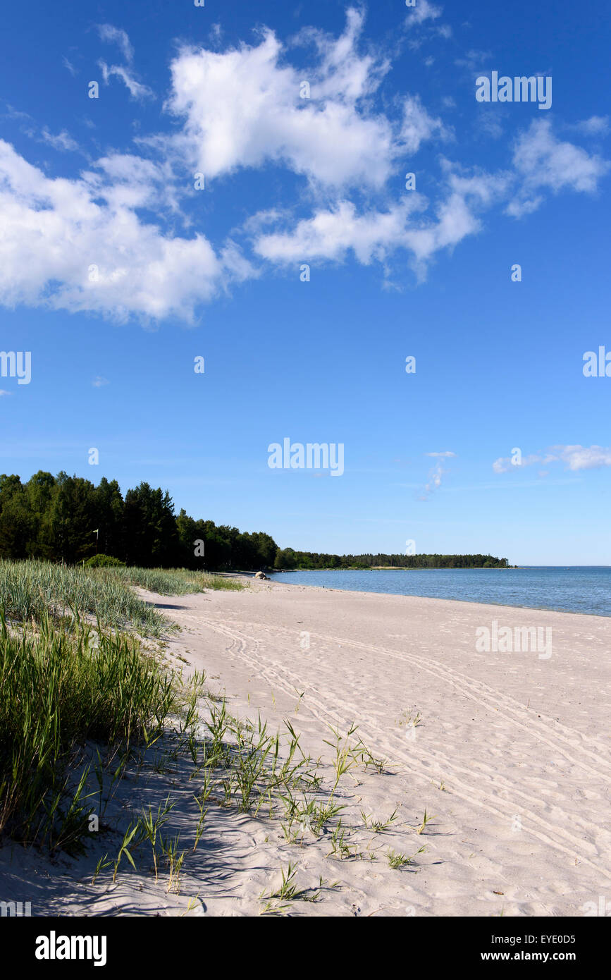 Beach of Amine, Isle of Gotland Sweden Stock Photo - Alamy