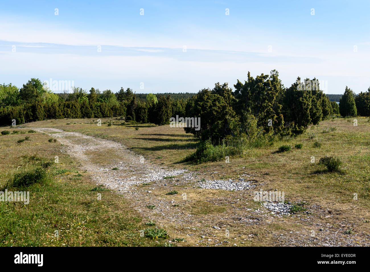 Gotland scenery hi-res stock photography and images - Alamy
