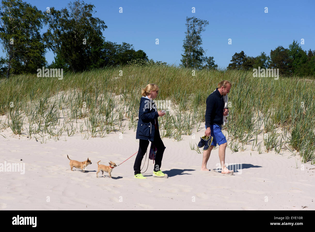 Sudersand hi-res stock photography and images - Alamy
