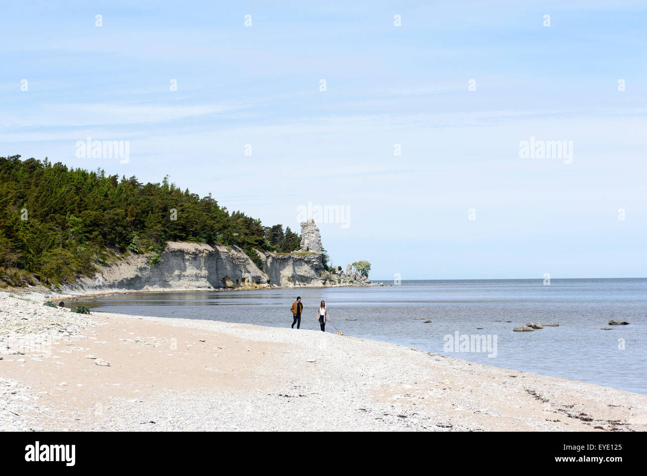 Rauk (Cliff) Jungfrun (Virgin) near Lickershamn, Isle of Gotland ...