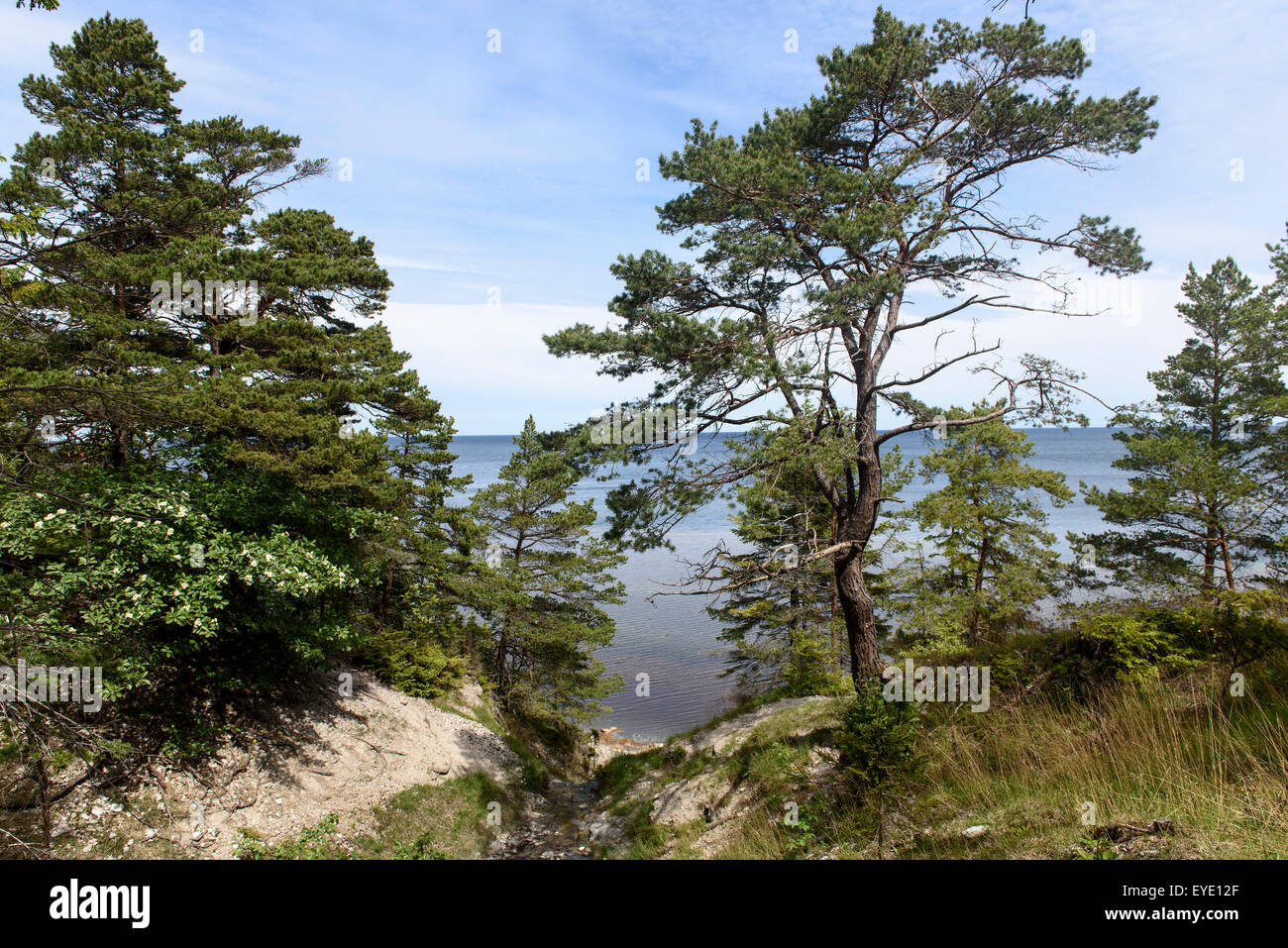 feeder creek into Baltic Sea near Lickershamn, Isle of Gotland, Sweden ...