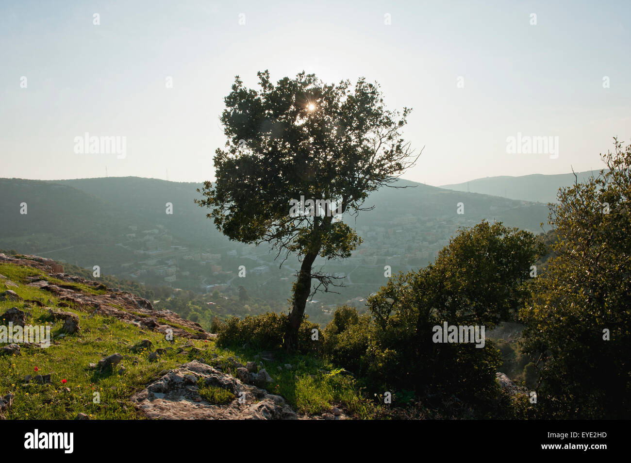 The Al Ayoun Trail, Jordan, Middle East Stock Photo - Alamy