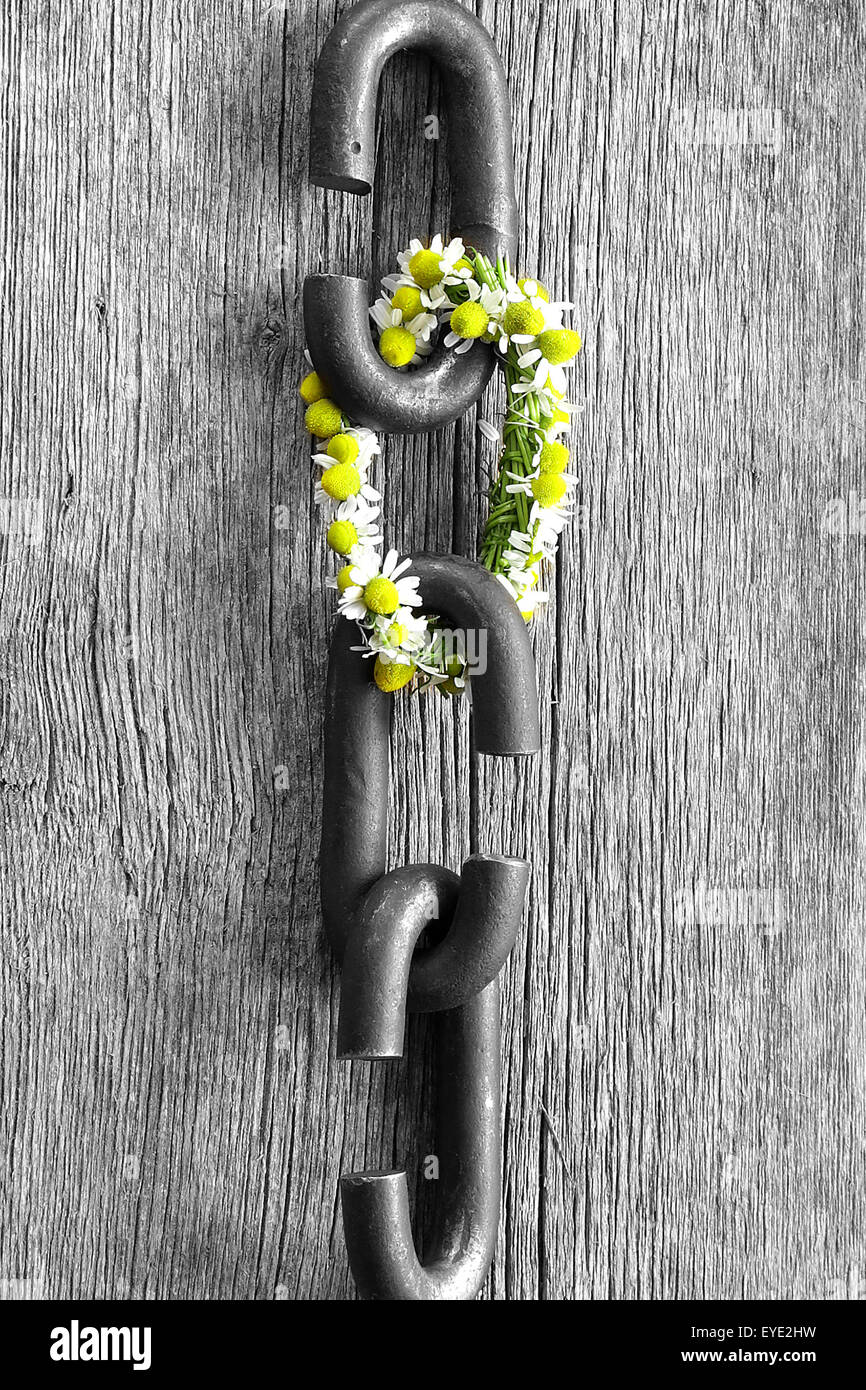 Weakest link hi-res stock photography and images - Alamy