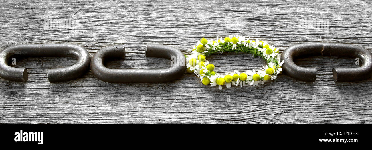 a chain is only as strong as its weakest link proverb one link made of ...