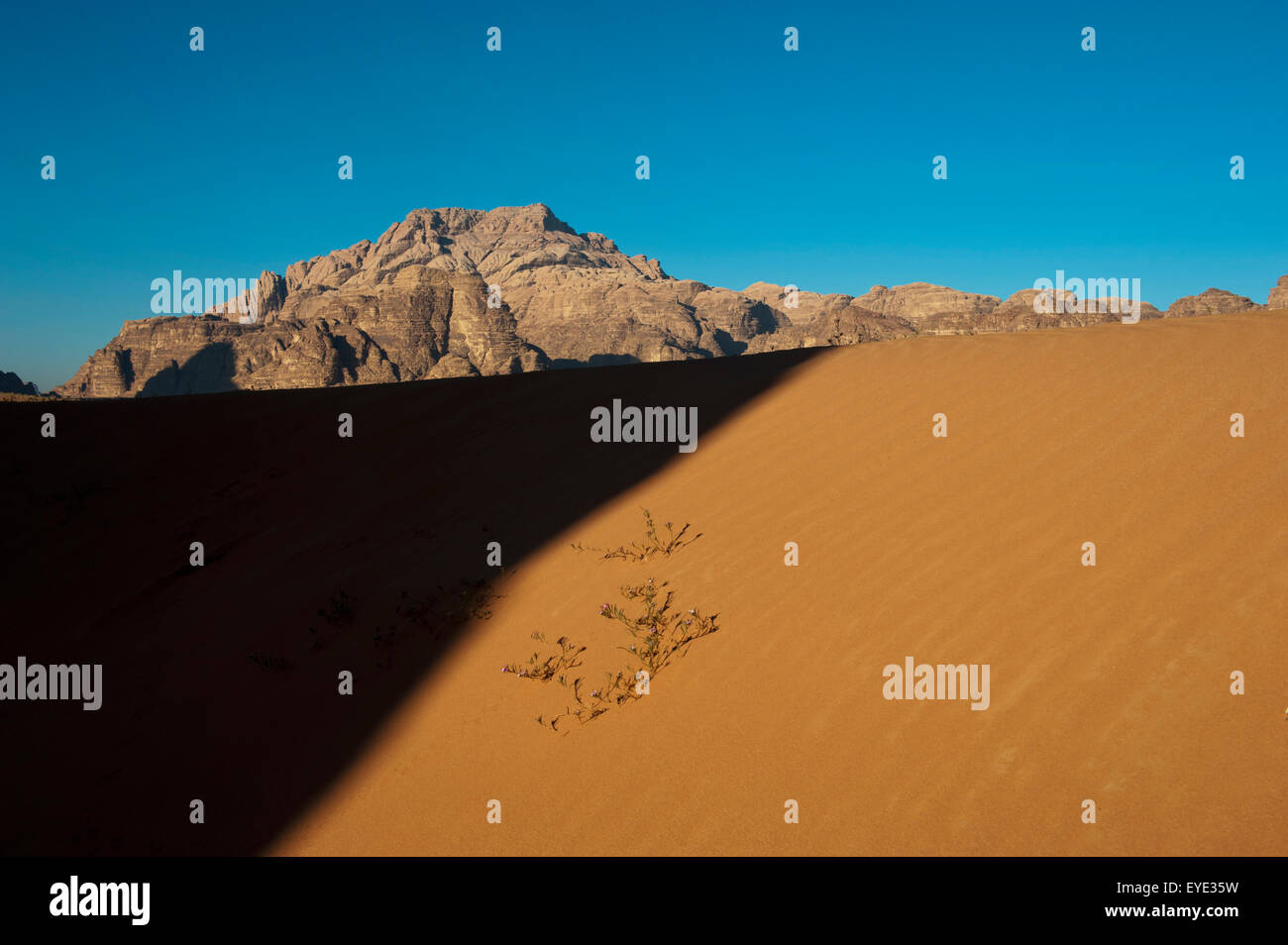 Shadow on desert hi-res stock photography and images - Alamy