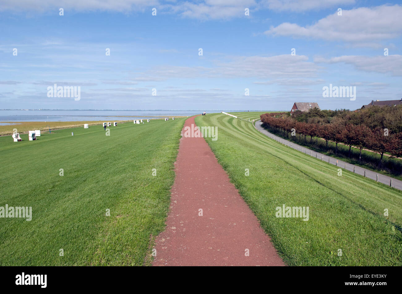 Deich; Dietmarschen; Friedrichskoog; Grasdeich Stock Photo - Alamy