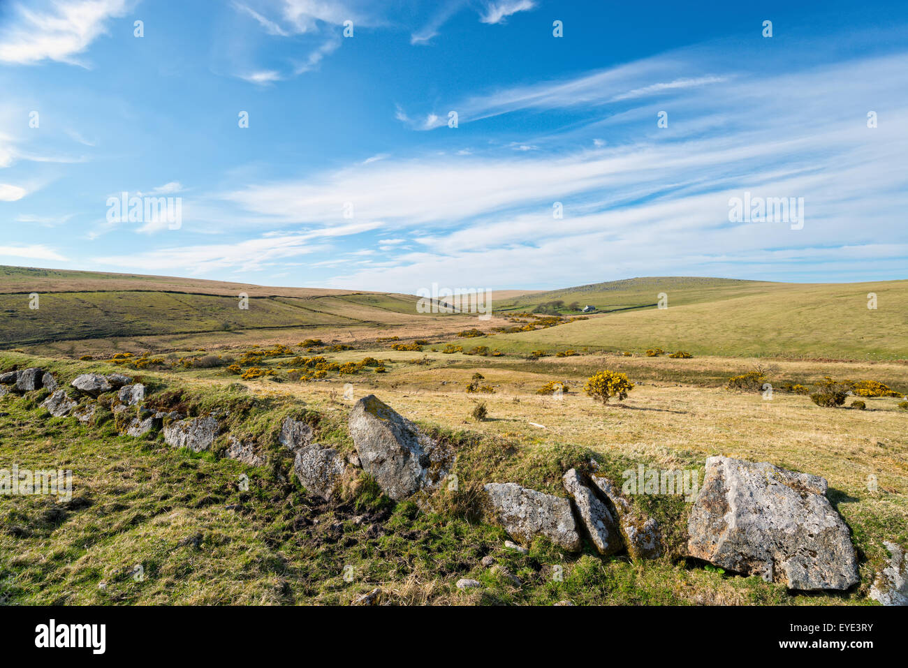 Rugged grassy plains of Bodmin Moor in Cornwall, looking out to ...