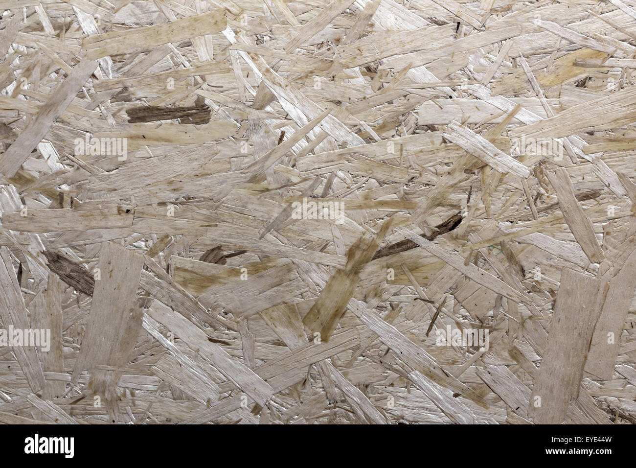 Wood panel composed of splinters pressed, light-colored and natural ...