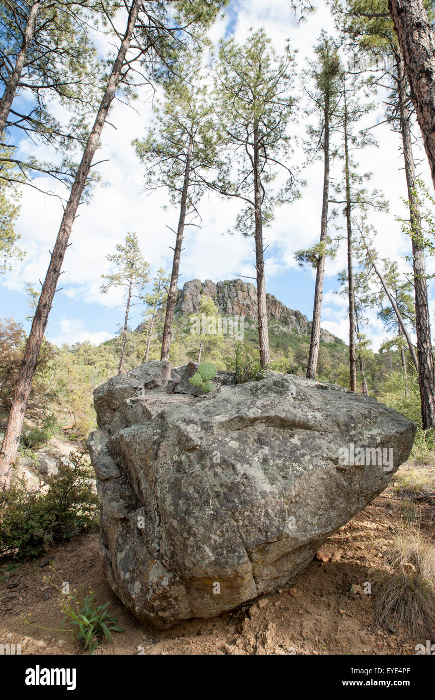 Thumb Butte, as viewed from Thumb Butte Trail, Prescott, Arizona, USA ...