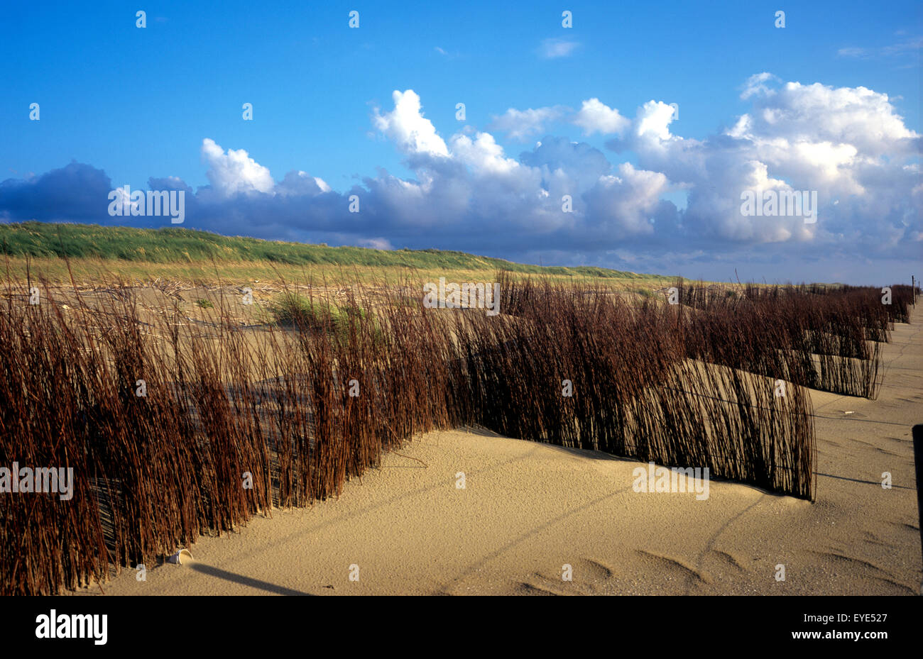 Nordseeduene hi-res stock photography and images - Alamy