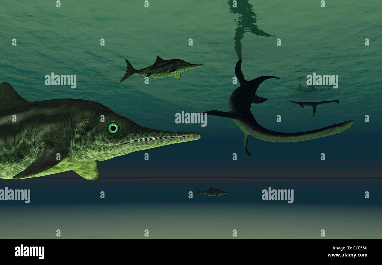 Ichthyosaurs hi-res stock photography and images - Alamy