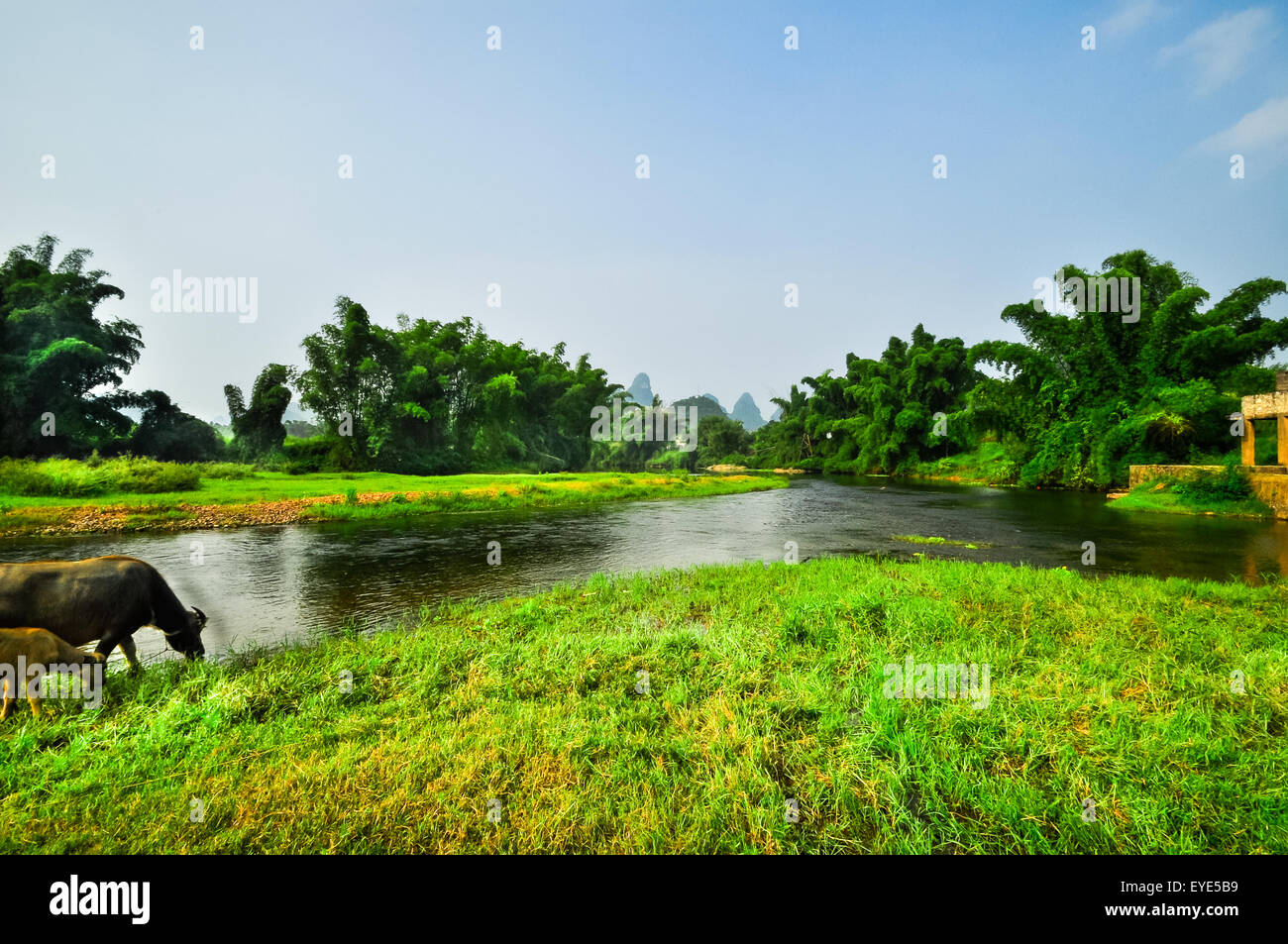 animals in Park and Karst rocks Yangshuo China Stock Photo - Alamy