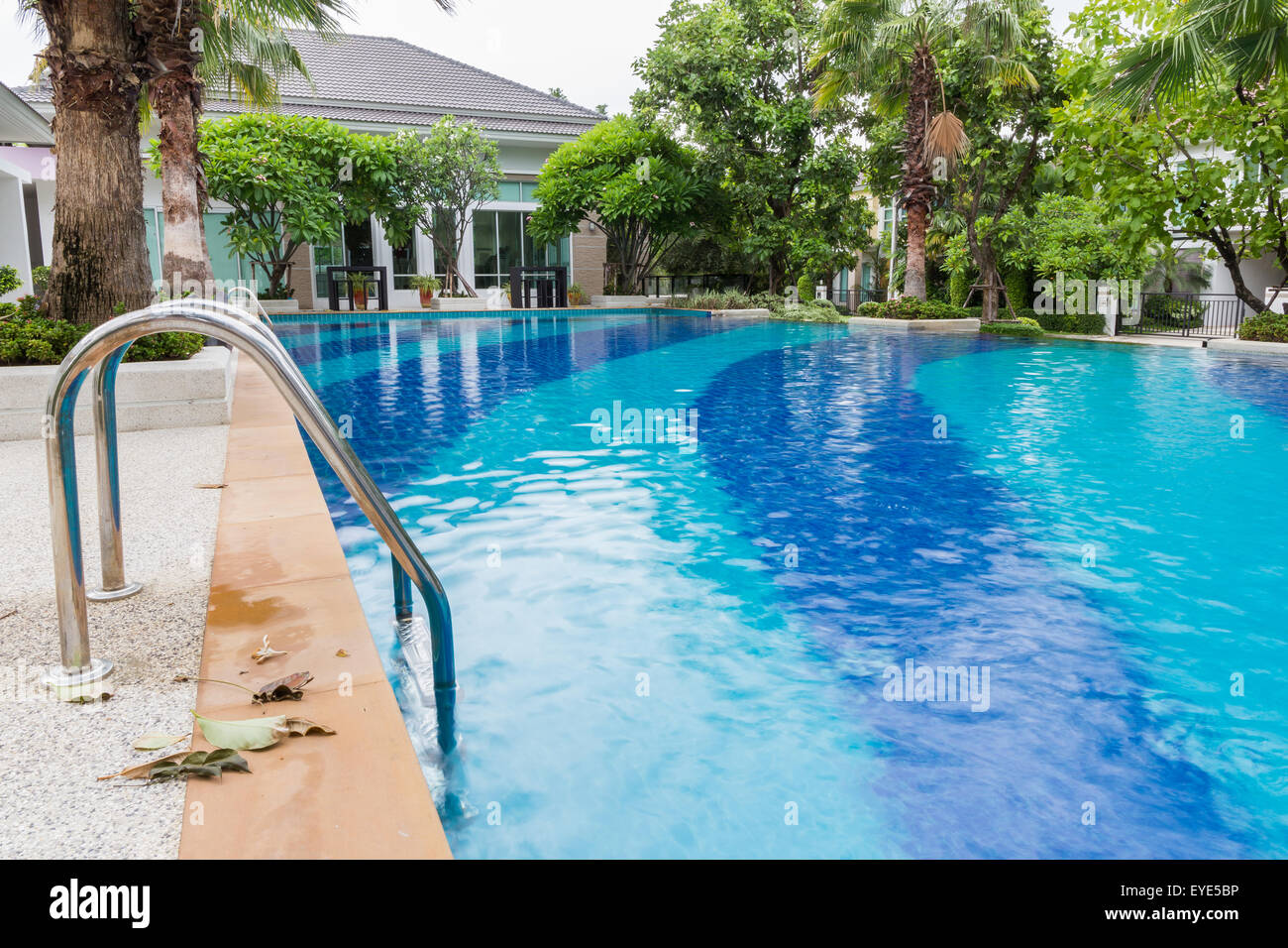 Outdoor swimming pool in garden during summer Stock Photo - Alamy